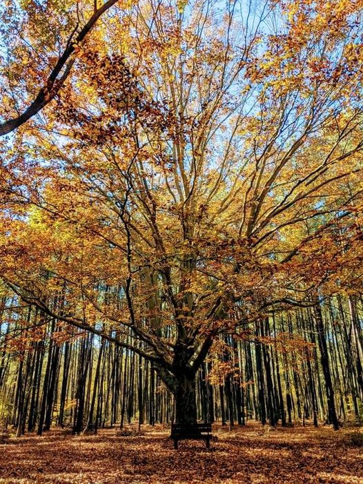 Color Added to the Nanticoke River Watershed Conservancy to Our ...
