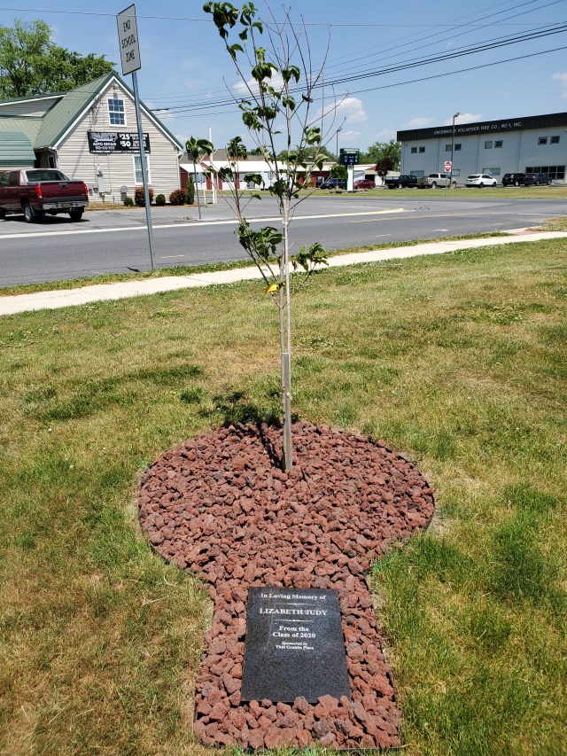 WHS Memorial Trees | PAVEing a Blog